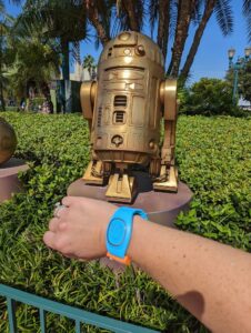 Disney Park Bag Essentials Packing List and Free Printable - Smart ...