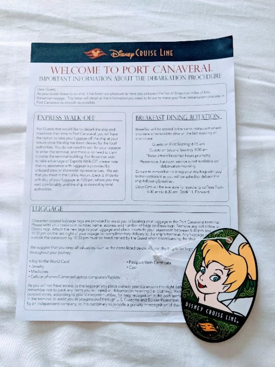 Disney Cruise Embarkation and Disembarkation Tips For Port Canaveral ...