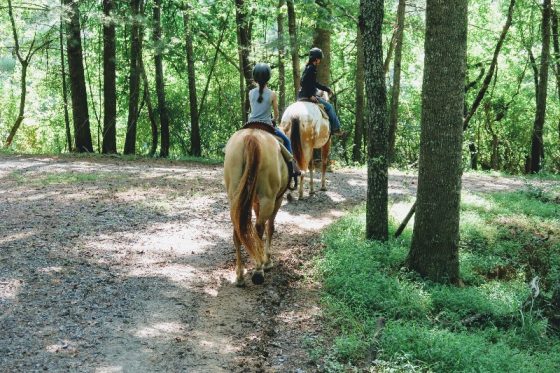 Biltmore Horseback Riding: Biltmore Guided Trail Ride Review - Smart ...